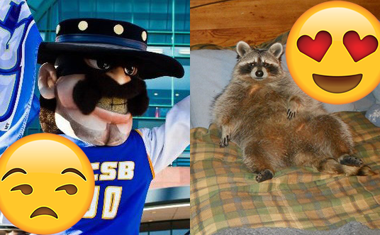 9 Reasons Why the Raccoon Is a Better Mascot than the Gaucho – Gaucho Marks